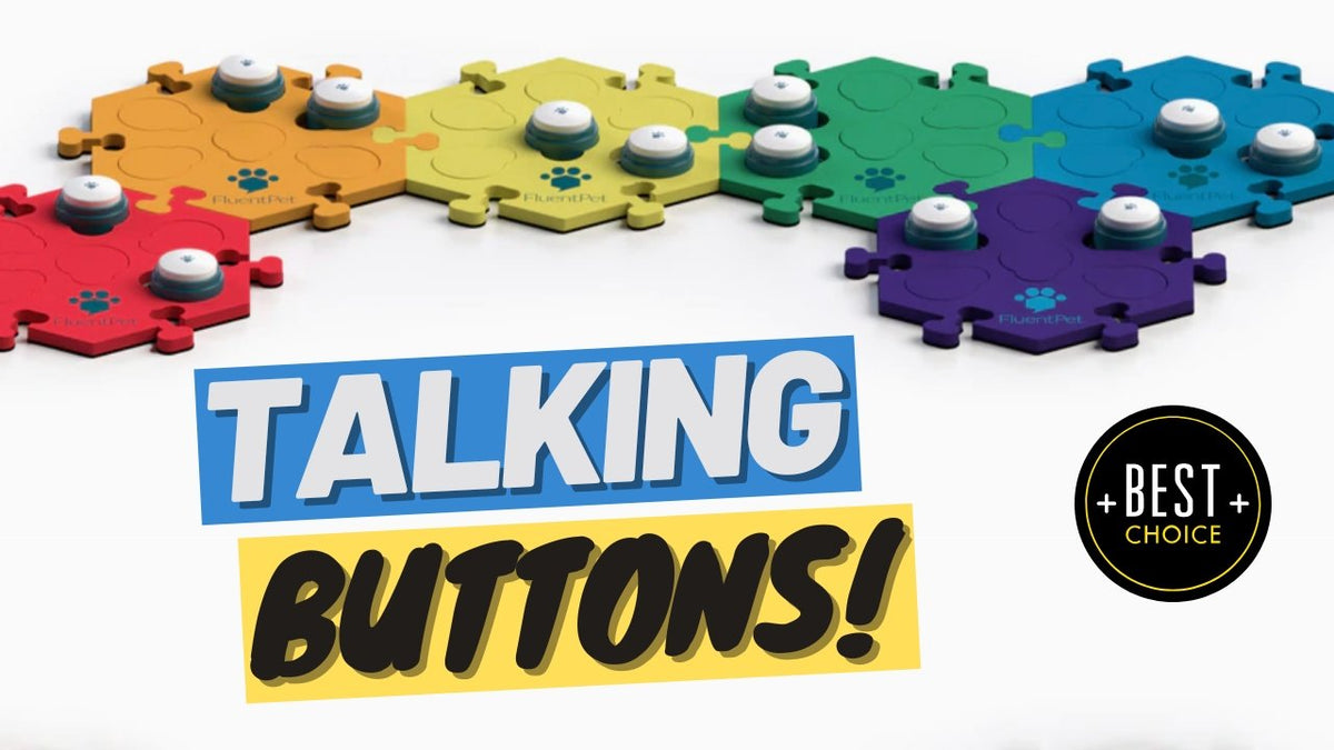 Best Talking Buttons for Cats | Sound, Size and Easy to Press ...