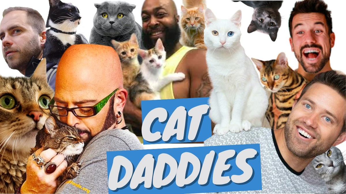 The Top 7 Iconic Cat Dad Influencers - Cat Daddies – OutdoorBengal