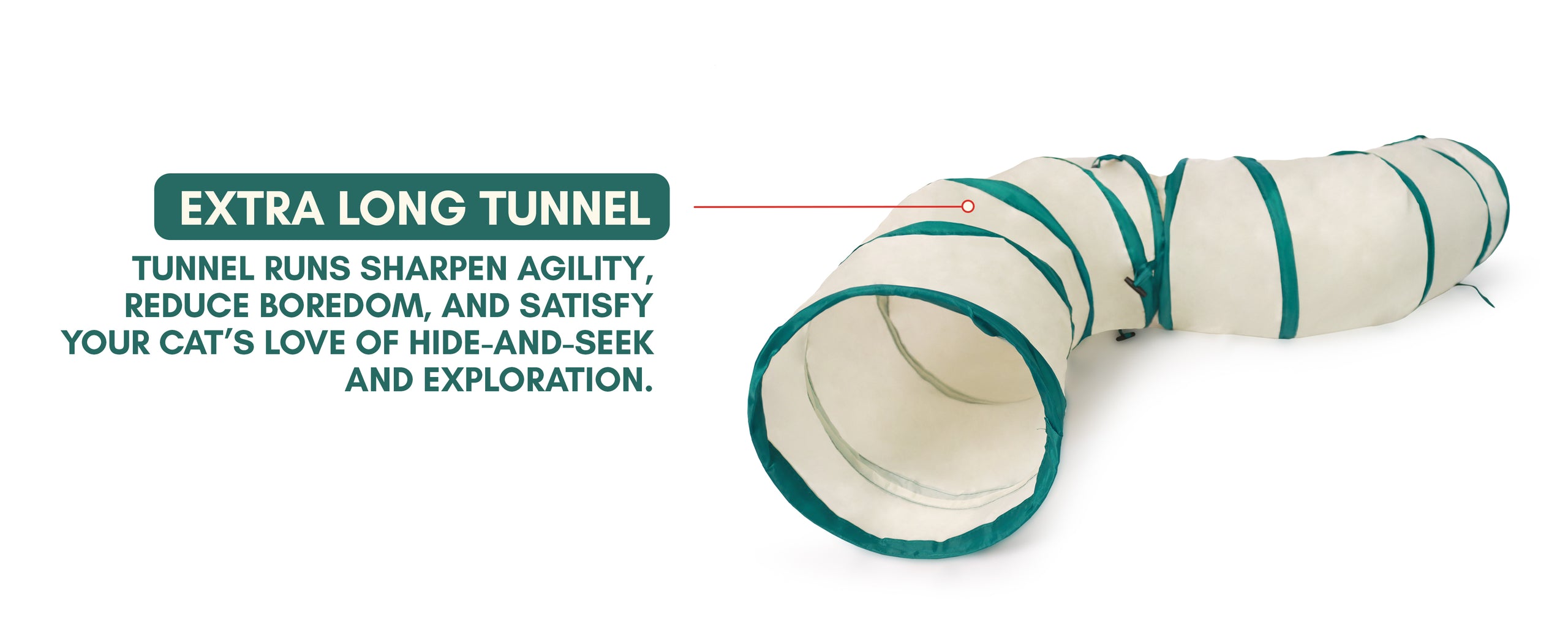 CATGILITY™ Cat Agility Course - Starter Kit – OutdoorBengal