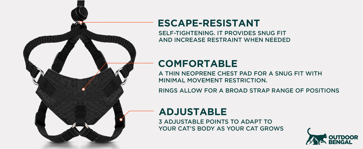 Escape-Proof Cat Harness | Houdini Harness by OutdoorBengal